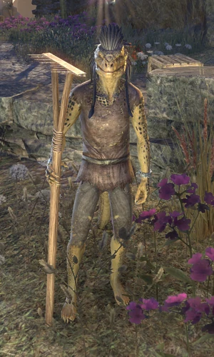 Eoki | Elder Scrolls | Fandom