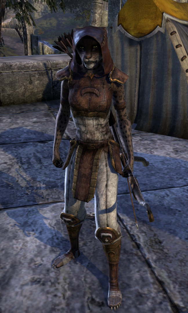 Recrue Khajiit Wiki The Elder Scrolls Fandom