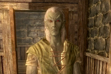 Valen Dreth Quotes The Elder Scrolls IV Oblivion | Valen Dreth ALL