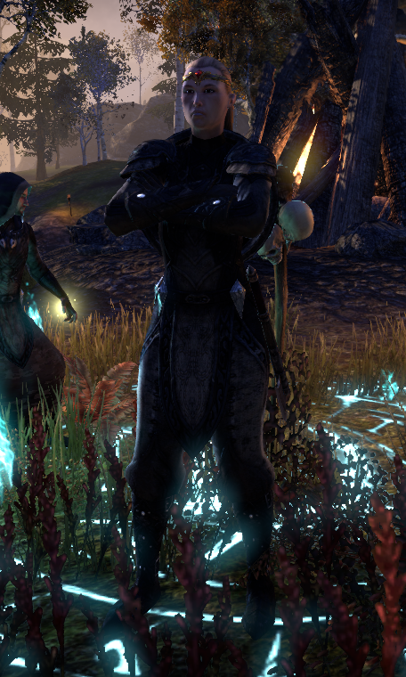 Sauvage Du Ver Wiki The Elder Scrolls Fandom