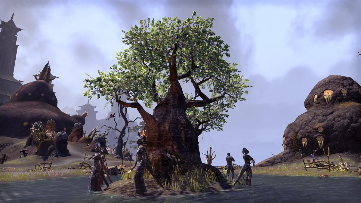 The Sapling | Elder Scrolls | Fandom