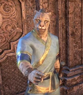 The Usurper Queen | Elder Scrolls | Fandom