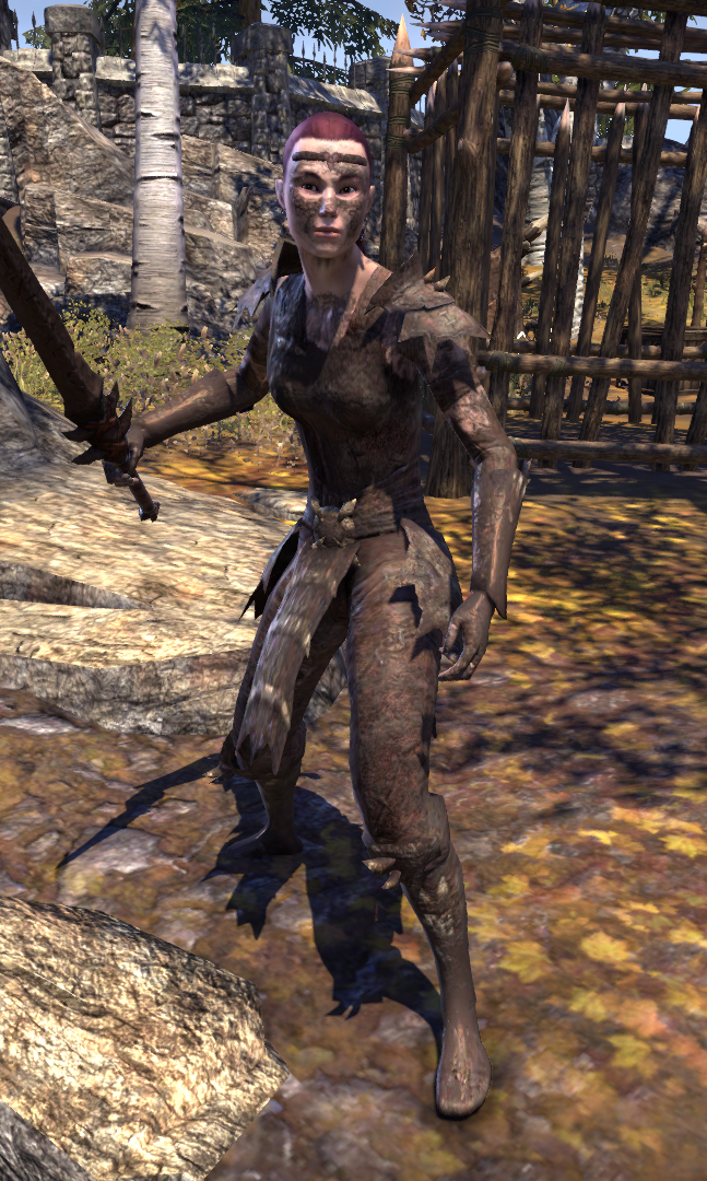 Chamane Pétrogriffe Wiki The Elder Scrolls Fandom