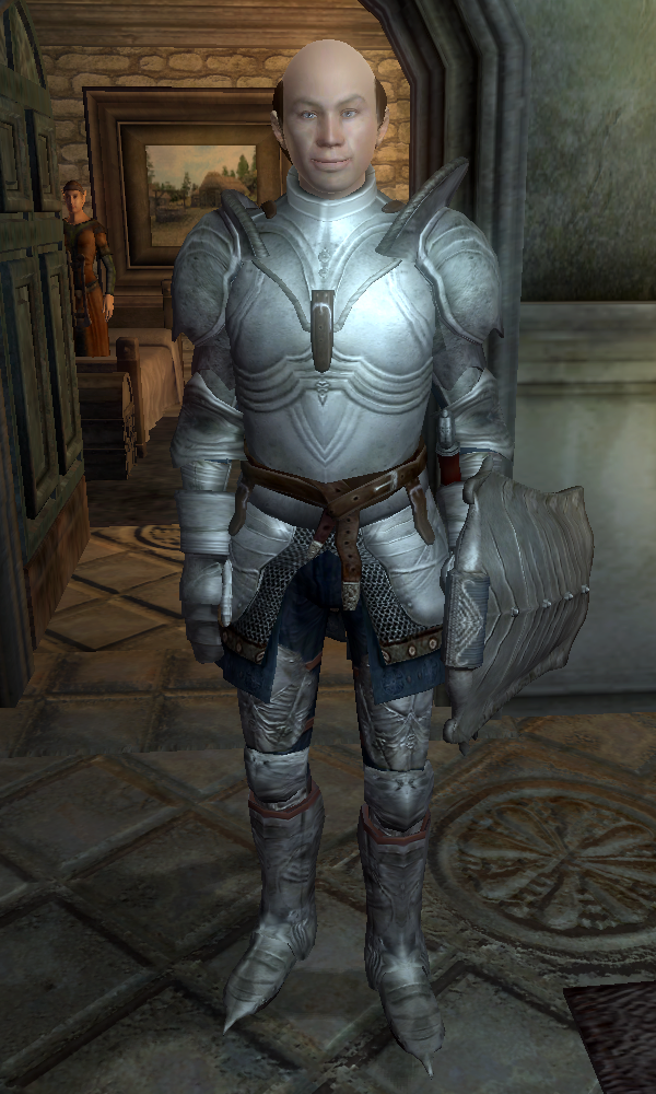 Fighters Guild Porter Elder Scrolls Fandom