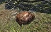 Resource Nodes | Elder Scrolls | Fandom