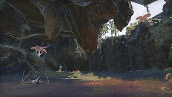 Nightmare Den | Elder Scrolls | Fandom