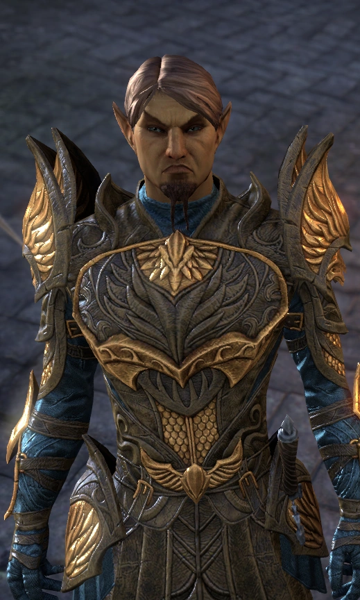 Procureur Elundur | Wiki The Elder Scrolls | Fandom