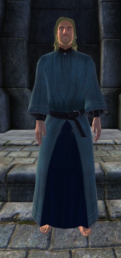 Роба мага The Elder Scrolls Wiki Fandom