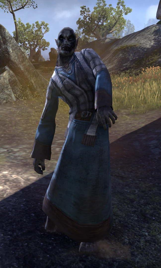 Abomination | Wiki The Elder Scrolls | Fandom