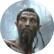 Bosmer (Legends) | Elder Scrolls | Fandom