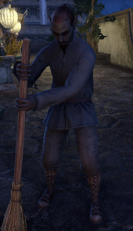 Galam Arvel | Wiki The Elder Scrolls | Fandom