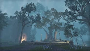 Zenithar's Abbey | Elder Scrolls | Fandom