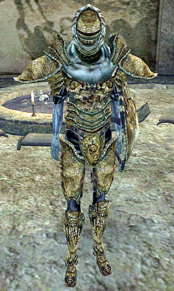 Arven Nalyn | Elder Scrolls | Fandom