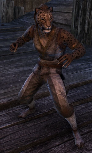 Khari | Elder Scrolls | Fandom