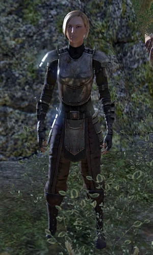 Patroller Versien | Elder Scrolls | Fandom