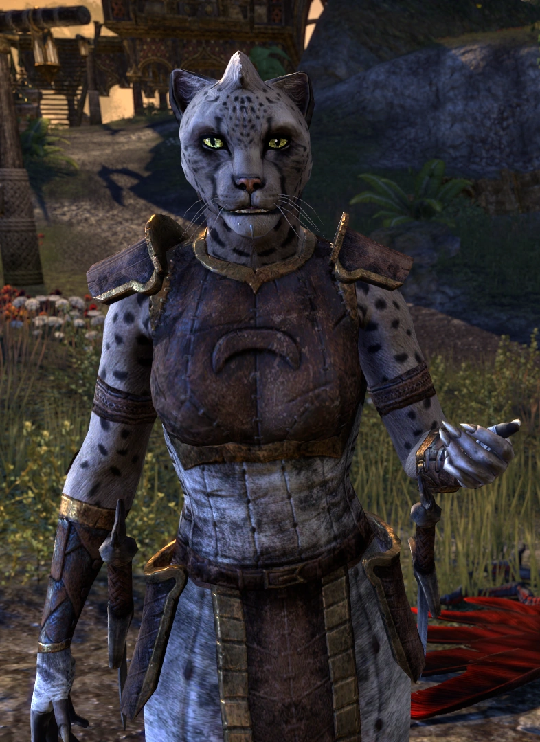 Sahira-daro | Elder Scrolls | Fandom