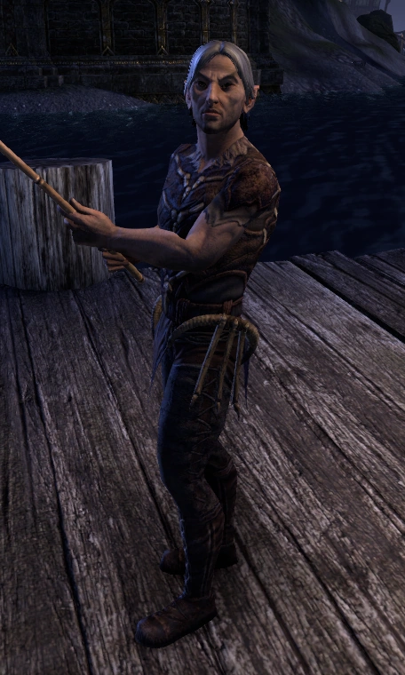 Faeldal | Wiki The Elder Scrolls | Fandom