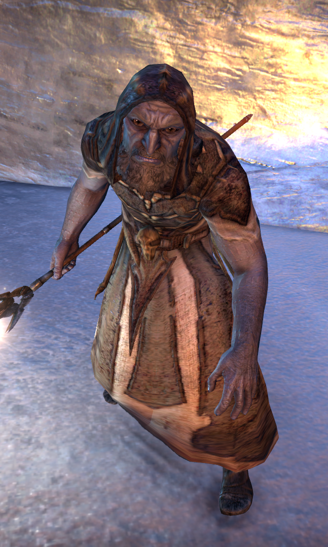 Soigneur Riekr Wiki The Elder Scrolls Fandom