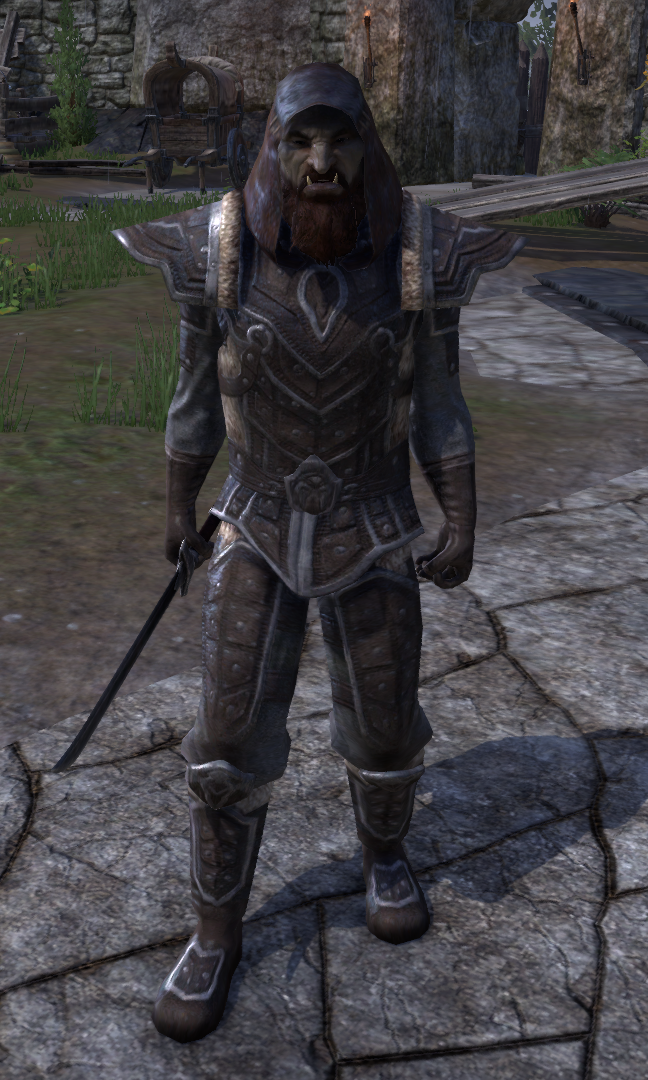 Soldat De Montemer Wiki The Elder Scrolls Fandom
