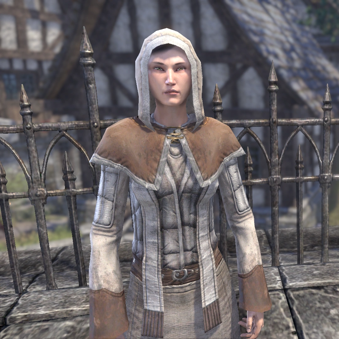 Брела Бьенн | The Elder Scrolls Wiki | Fandom