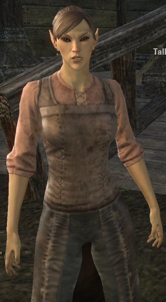 Elwilinta | Elder Scrolls | Fandom