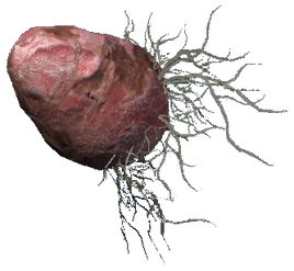 Ash Yam (Dragonborn) | Elder Scrolls | Fandom