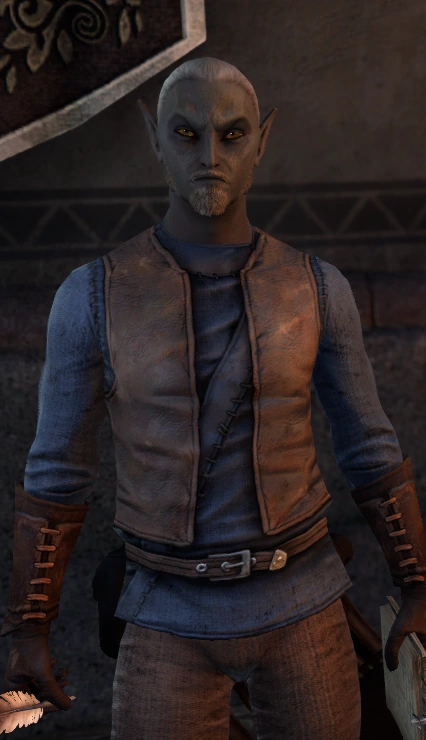 Dinor Salvi | Wiki The Elder Scrolls | Fandom