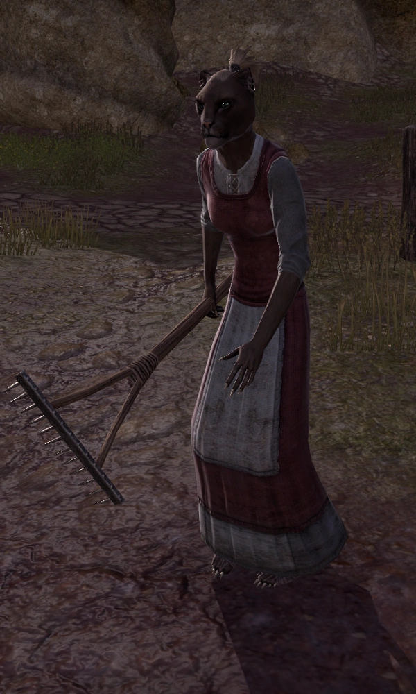 Kada | Elder Scrolls | Fandom