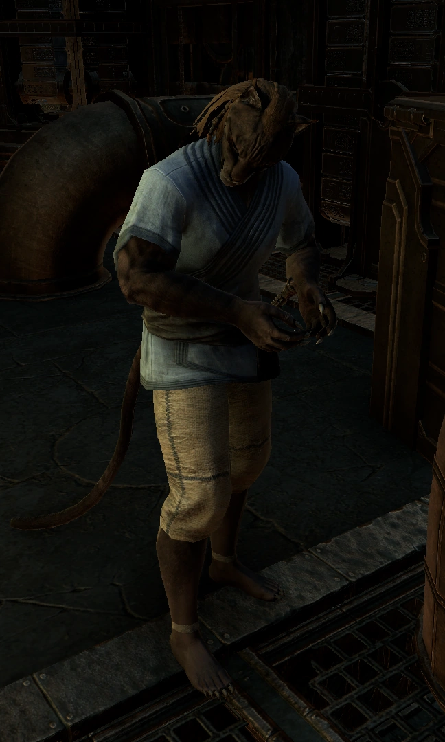 Nezhad | Wiki The Elder Scrolls | Fandom