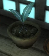 Ulfgar Fog-Eye's House | Elder Scrolls | Fandom