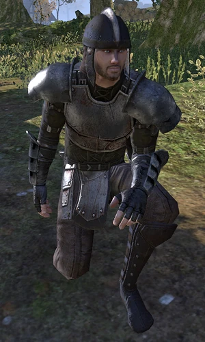 Daggerfall Patroller | Elder Scrolls | Fandom