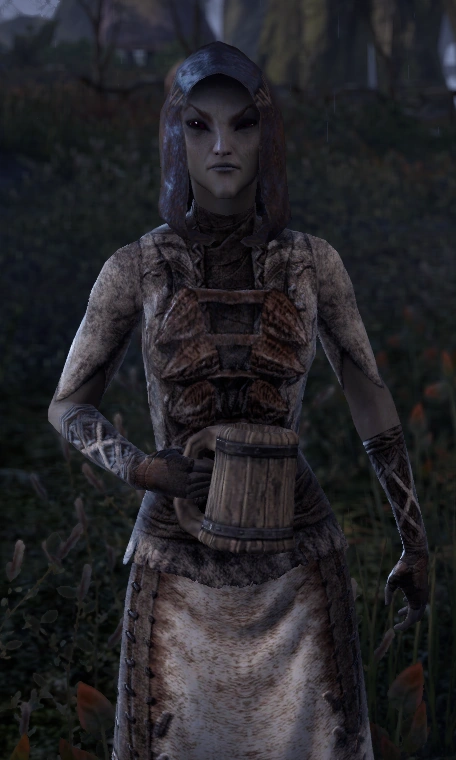 Sahnivaran | Wiki The Elder Scrolls | Fandom