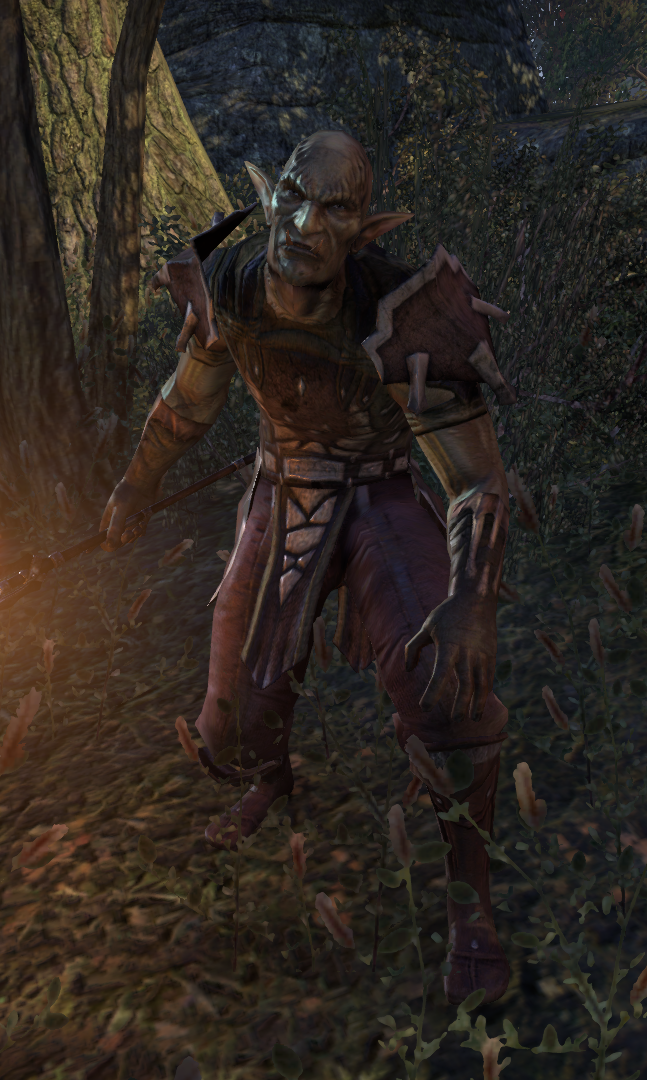 Sorcier Mâchepierre Wiki The Elder Scrolls Fandom