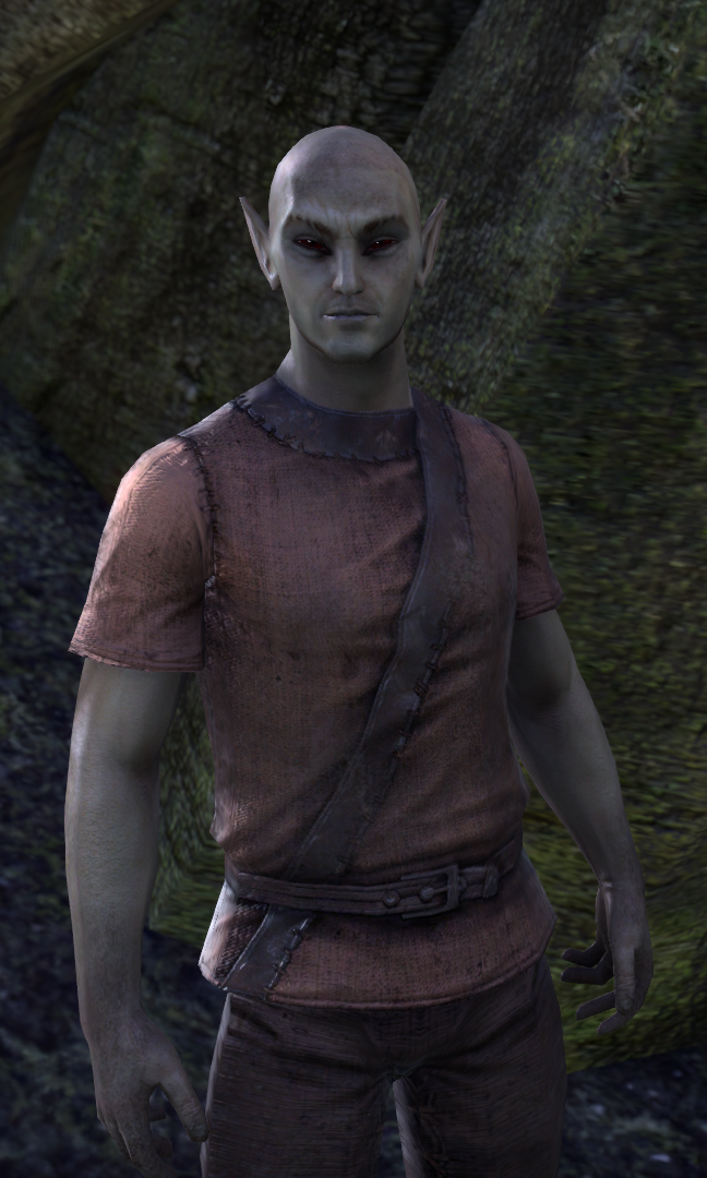 Apprenti Savur Wiki The Elder Scrolls Fandom