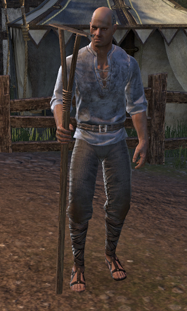 Georges Ancois Elder Scrolls Fandom