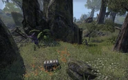 Murkmire Treasure Map II | Elder Scrolls | Fandom