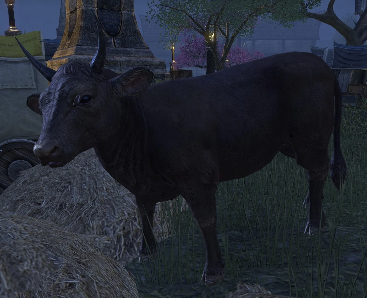 Bull | Elder Scrolls | Fandom