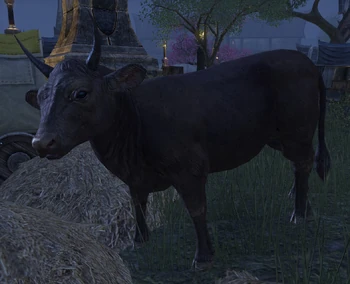 Bull | Elder Scrolls | Fandom