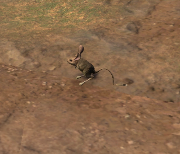 Jerboa | Elder Scrolls | Fandom