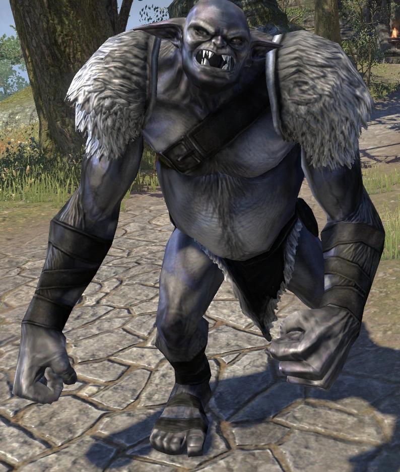 Ogre (Online) | The Elder Scrolls Wiki | Fandom