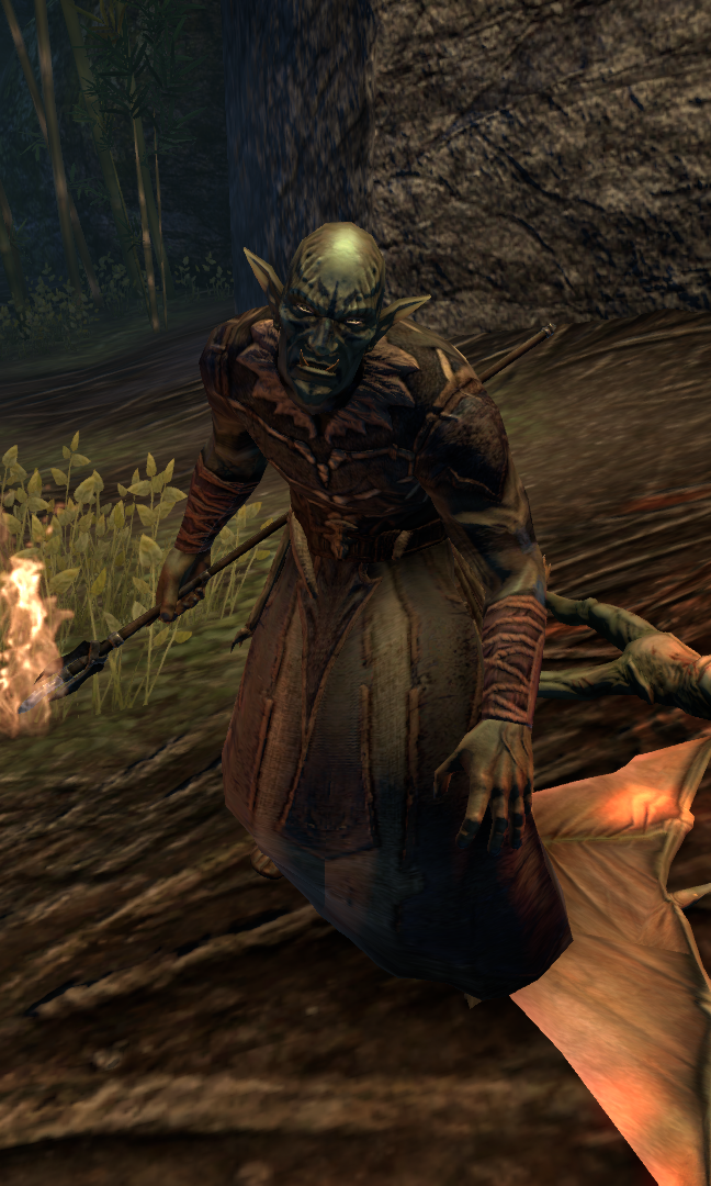 Sorcier Du Chicot Wiki The Elder Scrolls Fandom