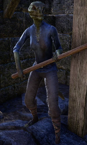 Baar-Taeed | Elder Scrolls | Fandom