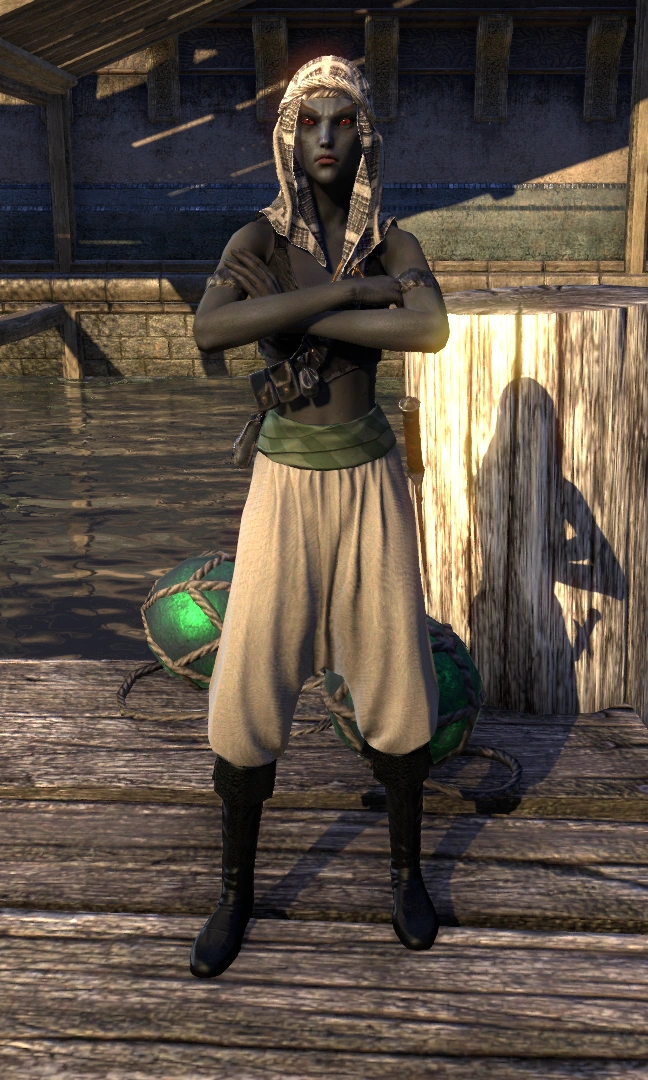 Captain Hler | Elder Scrolls | Fandom