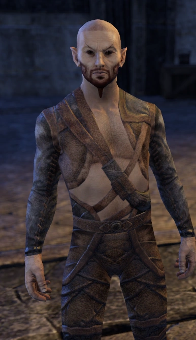 Faerin | Wiki The Elder Scrolls | Fandom