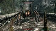 Frostbite Spider (Skyrim) | Elder Scrolls | Fandom
