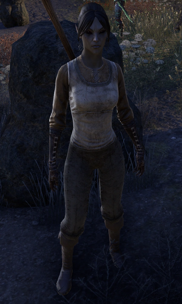 Researcher Vess | Elder Scrolls | Fandom