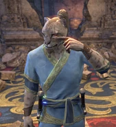 The Usurper Queen | Elder Scrolls | Fandom