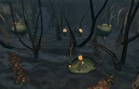 Addiction | Elder Scrolls | Fandom