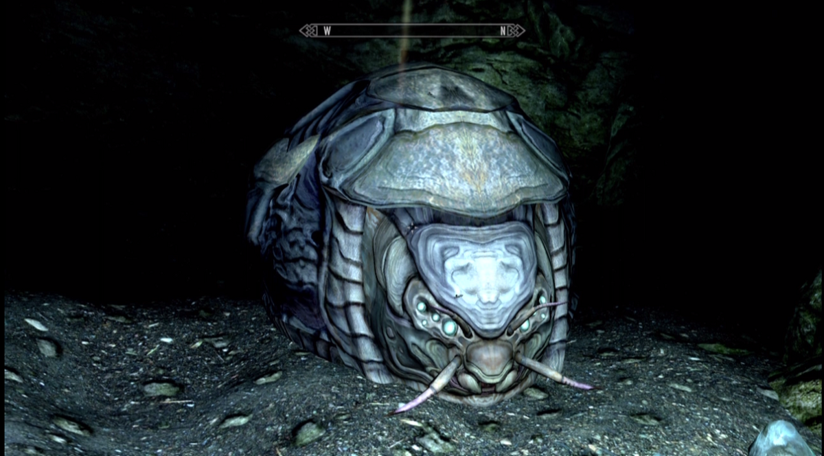 Shellbug | The Elder Scrolls Wiki | Fandom Shellbug | The Elder Scrolls Wiki | Fandom
