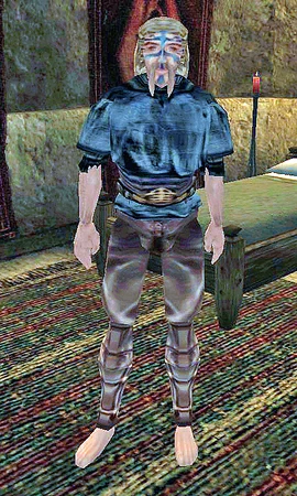 Fighters Guild (Morrowind) | Elder Scrolls | Fandom